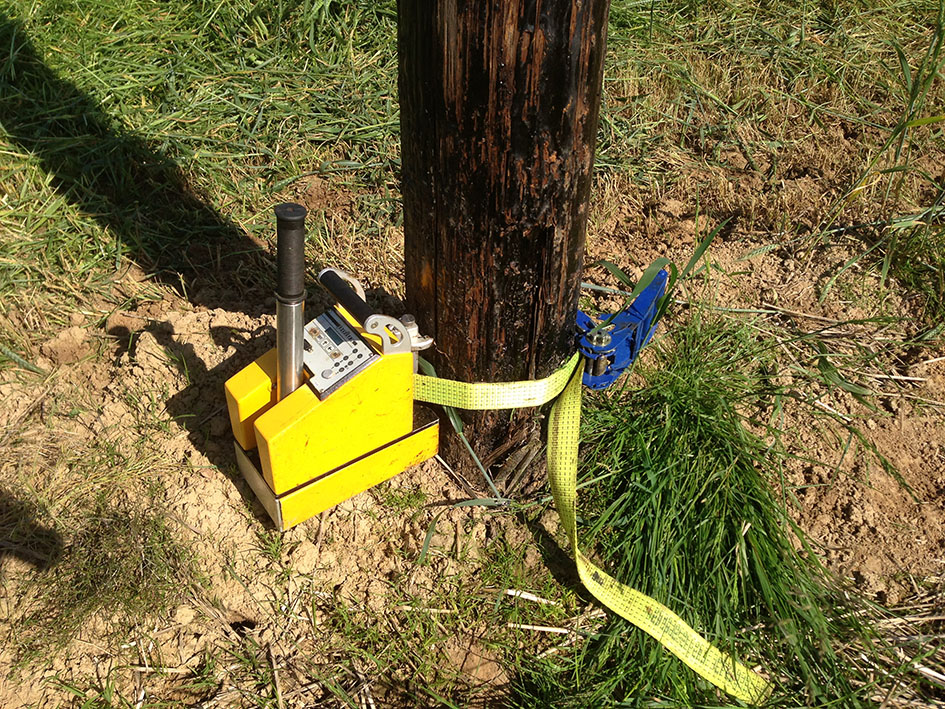 Polux :: Wood engineers and builders